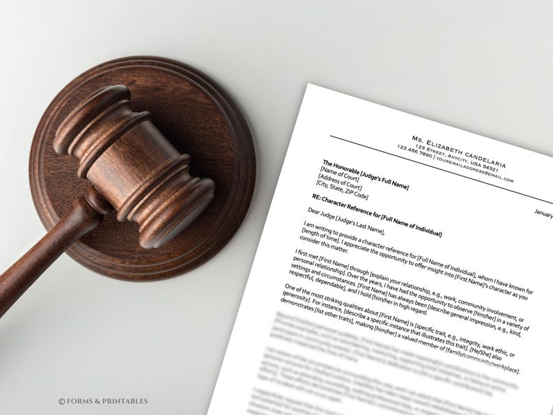Editable Court Character Reference Letter Template (MS Word, Google ...