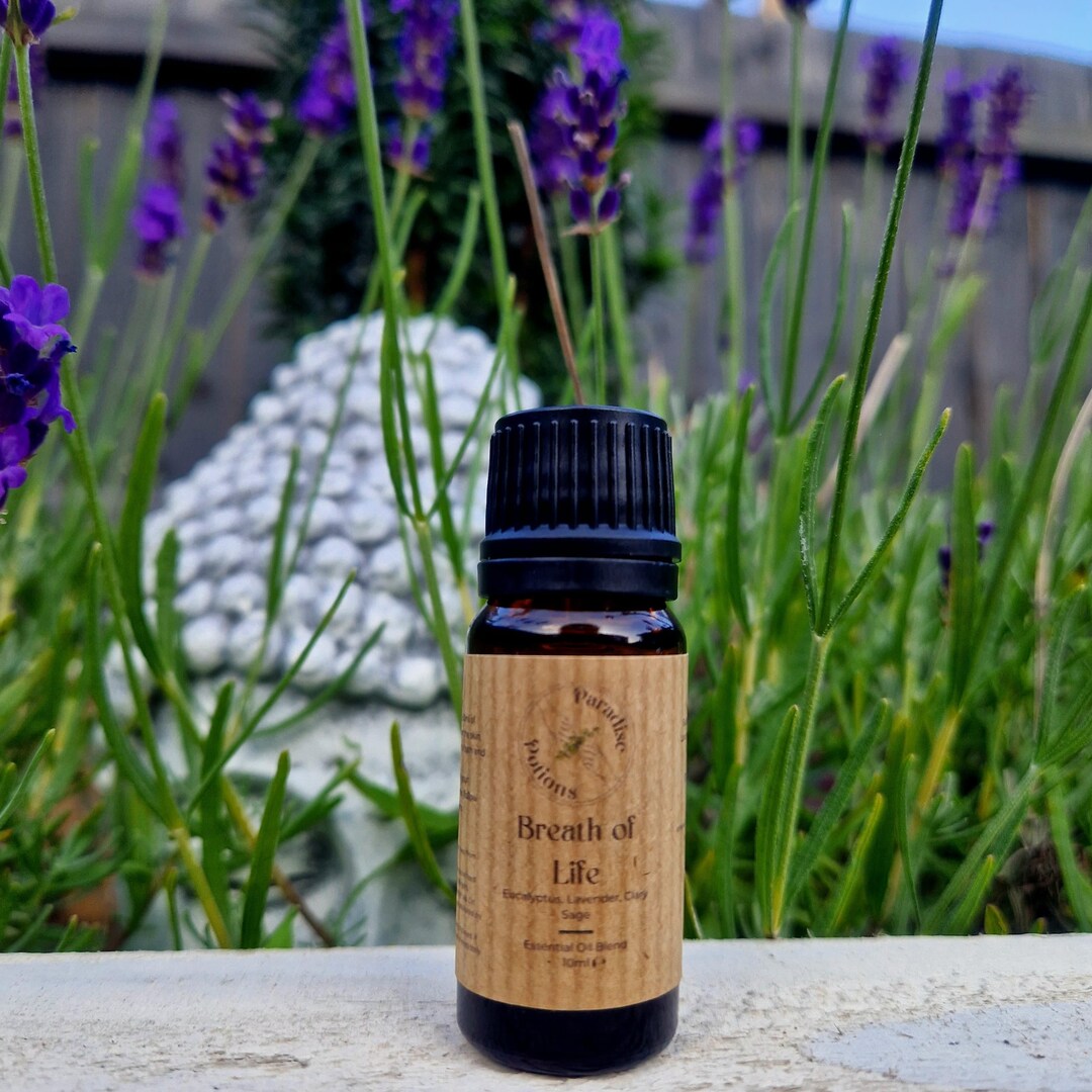 Breath of Life Essential Oil Blend 5ml Air. Aromatherapy - Etsy