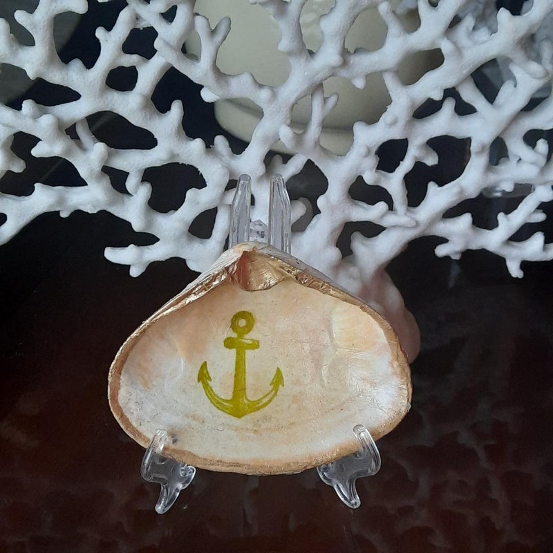 Shell Anchor - Etsy