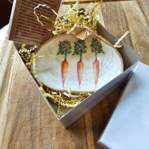 Clam Shell Art Beach Umbrellas - Etsy