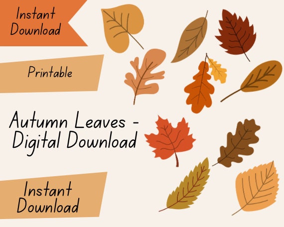 Printable Autumn Leaves, Autumn Photo Bundle, Fall Themed Teacher ...