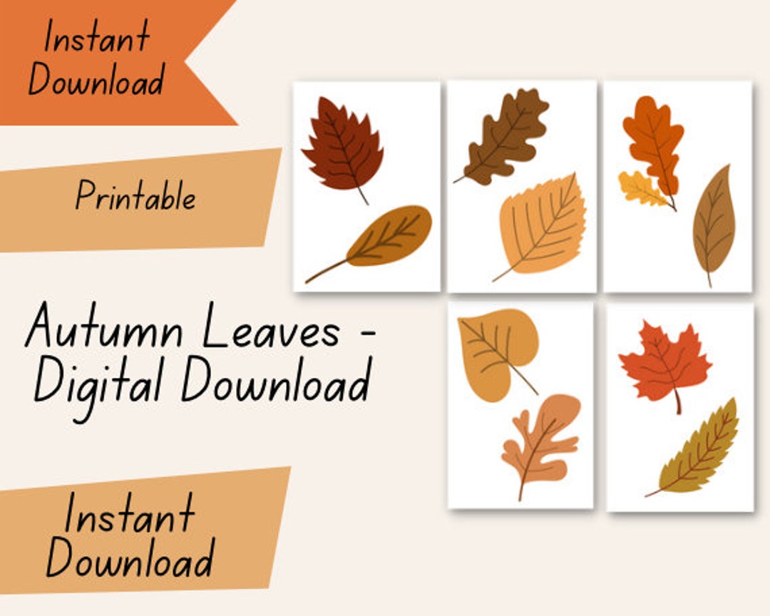 Printable Autumn Leaves, Autumn Photo Bundle, Fall Themed Teacher ...