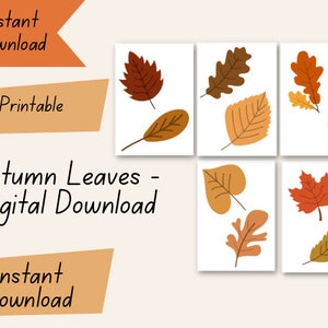 Printable Autumn Leaves, Autumn Photo Bundle, Fall Themed Teacher ...