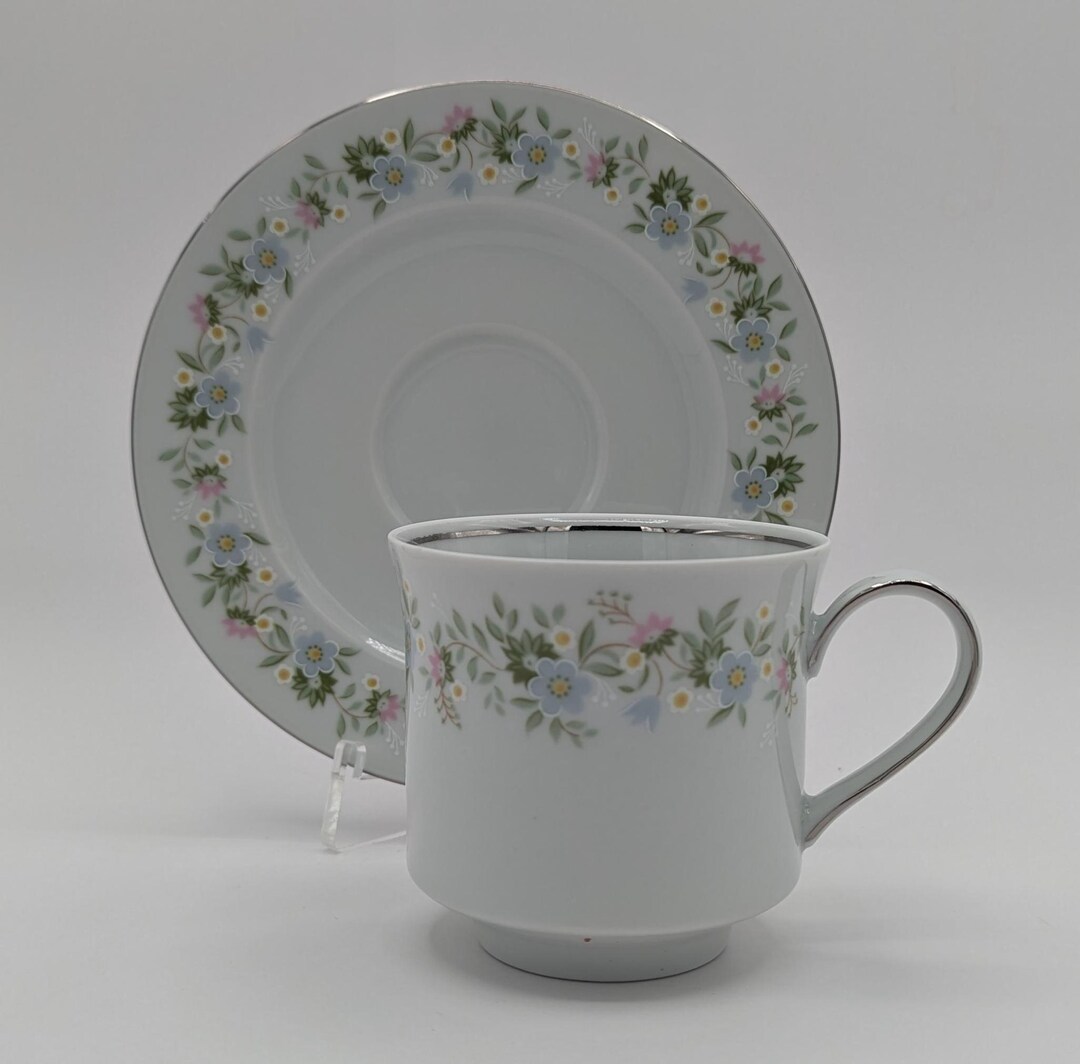 Vintage Johann Haviland "forever Spring" China - Flat Cup and Saucer ...