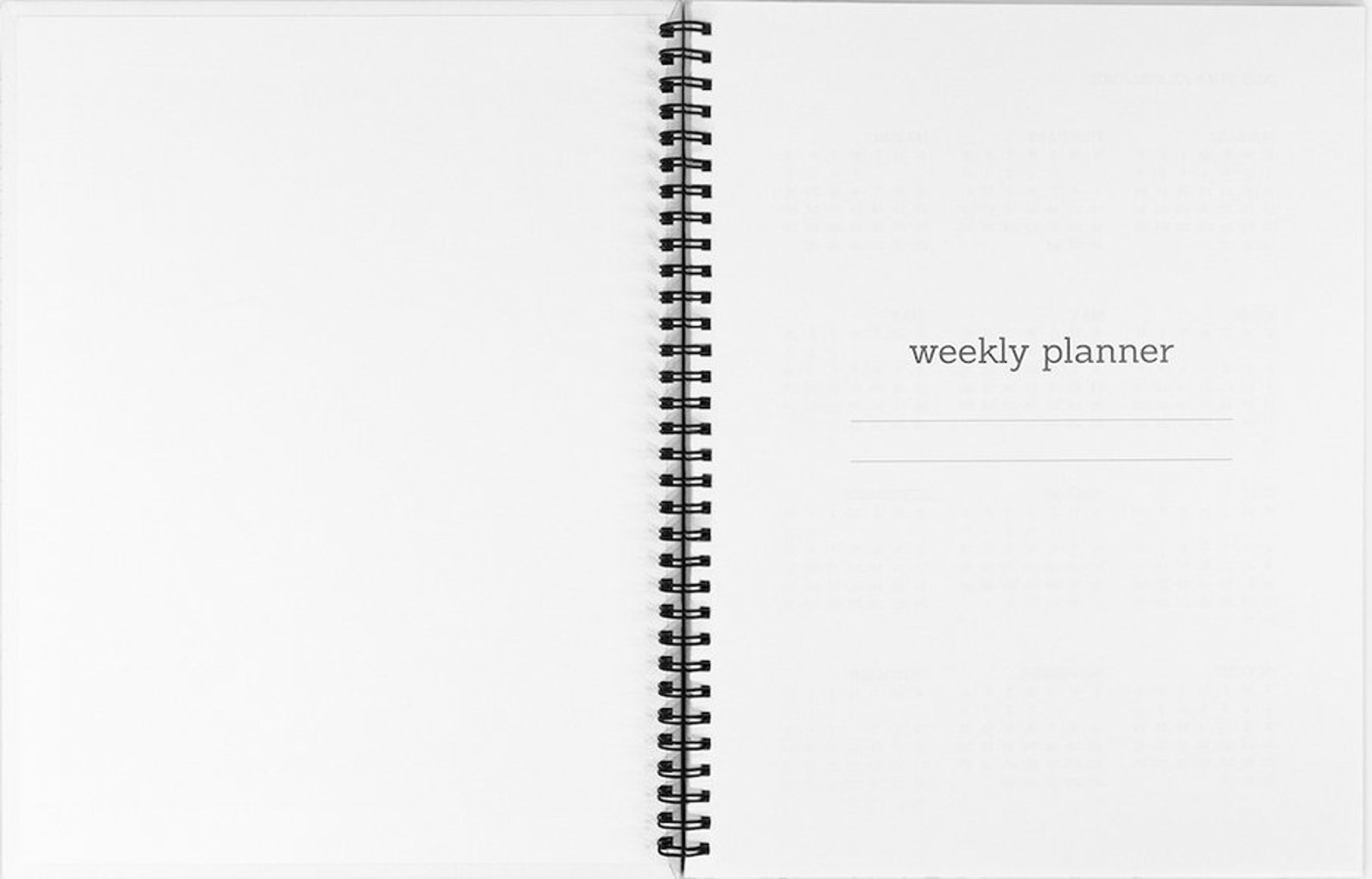 Highland Cow Planner Highland Cow Gift Cow Planner Notebook 2024 ...
