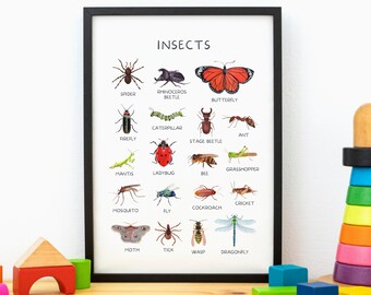 Educational Bugs Fun Facts Poster Digital Download Insects Print ...