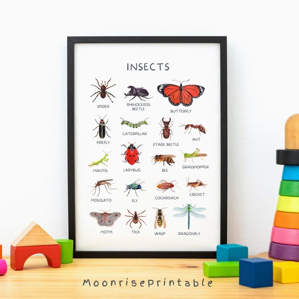 Bug Prints - Etsy