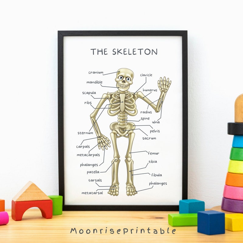 Skeleton Poster - Etsy
