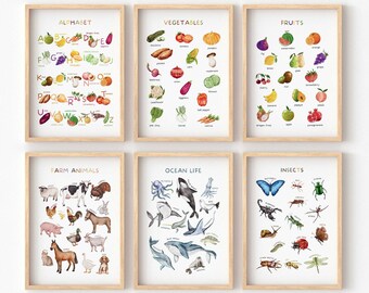 Set of 6 Educational Posters, Fruits Vegetables Posters, Animals ...