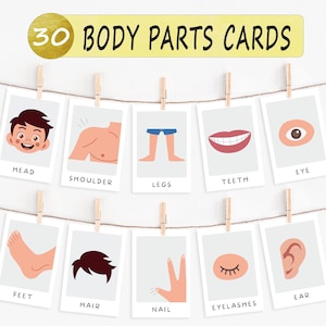 30 Body Parts Cards, Montessori Flashcards, Pre-school Cards, Learning ...