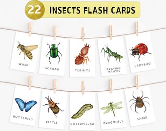 32 Insects Flash Cards, Montessori Flash Cards, Preschool Activity ...