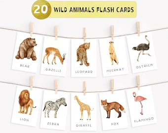 16 Farm Animals Cards, Preschool Learning Materials, Montessori Flash ...