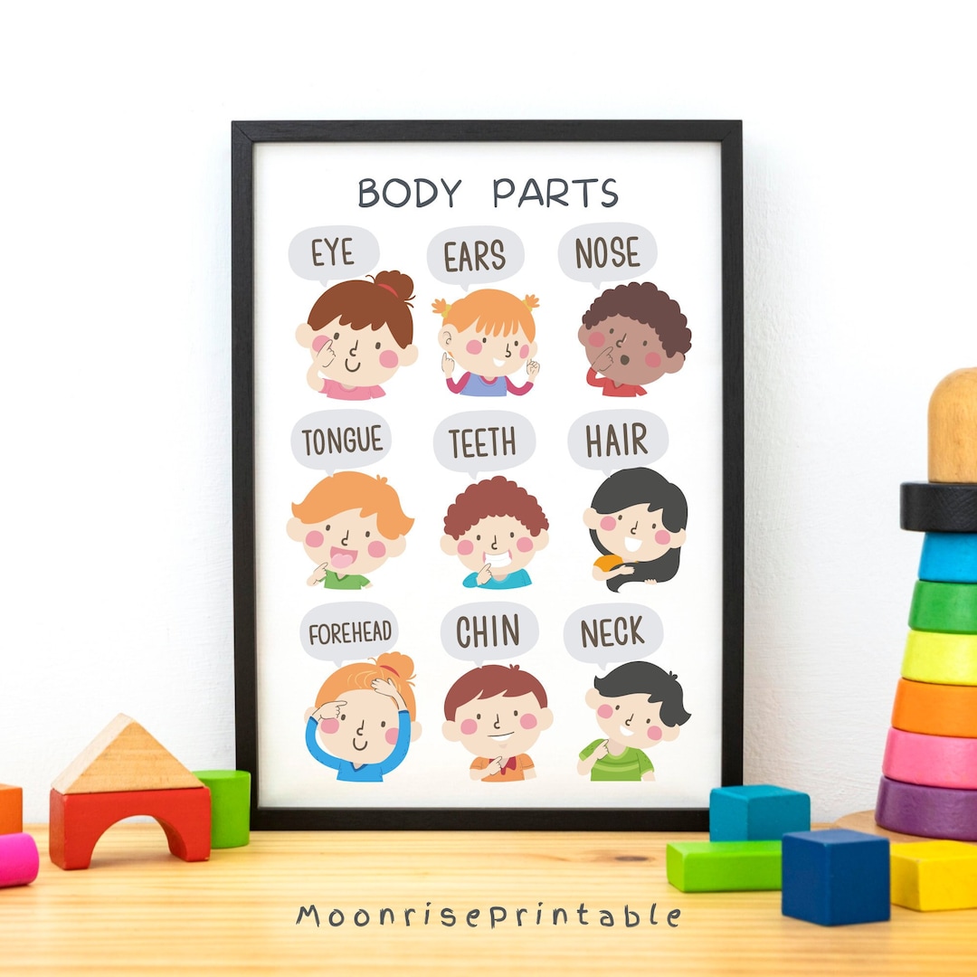 Body Parts Poster, Kids Wall Decor, Educational Print, Body Parts ...