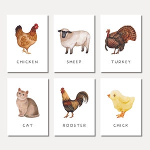 16 Farm Animals Cards, Preschool Learning Materials, Montessori Flash ...