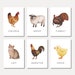 16 Farm Animals Cards, Preschool Learning Materials, Montessori Flash ...