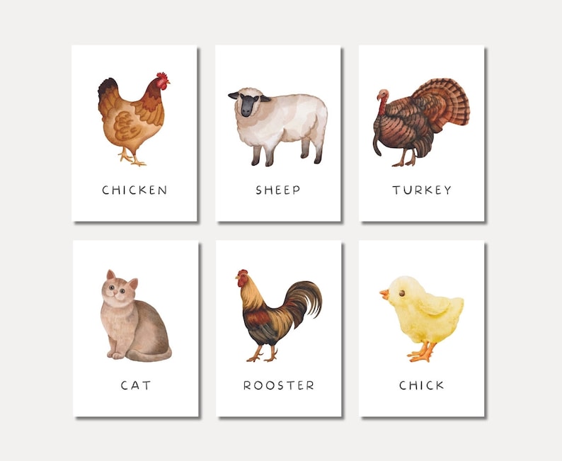 16 Farm Animals Cards, Preschool Learning Materials, Montessori Flash ...