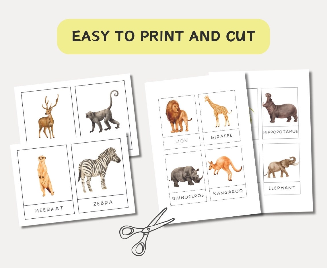 20 Wild Animals Cards, Preschool Learning Materials, Montessori Flash ...