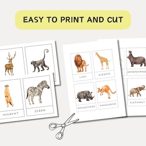 20 Wild Animals Cards, Preschool Learning Materials, Montessori Flash ...