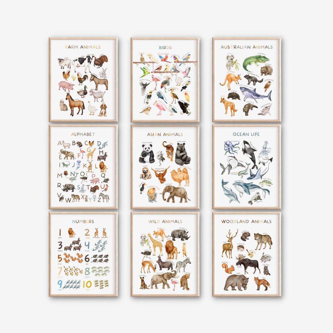 Set of 9 Educational Posters Alphabet Poster Classroom - Etsy
