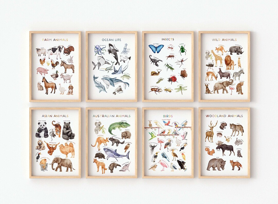 Set of 8 Educational Posters Watercolor Kids Classroom - Etsy