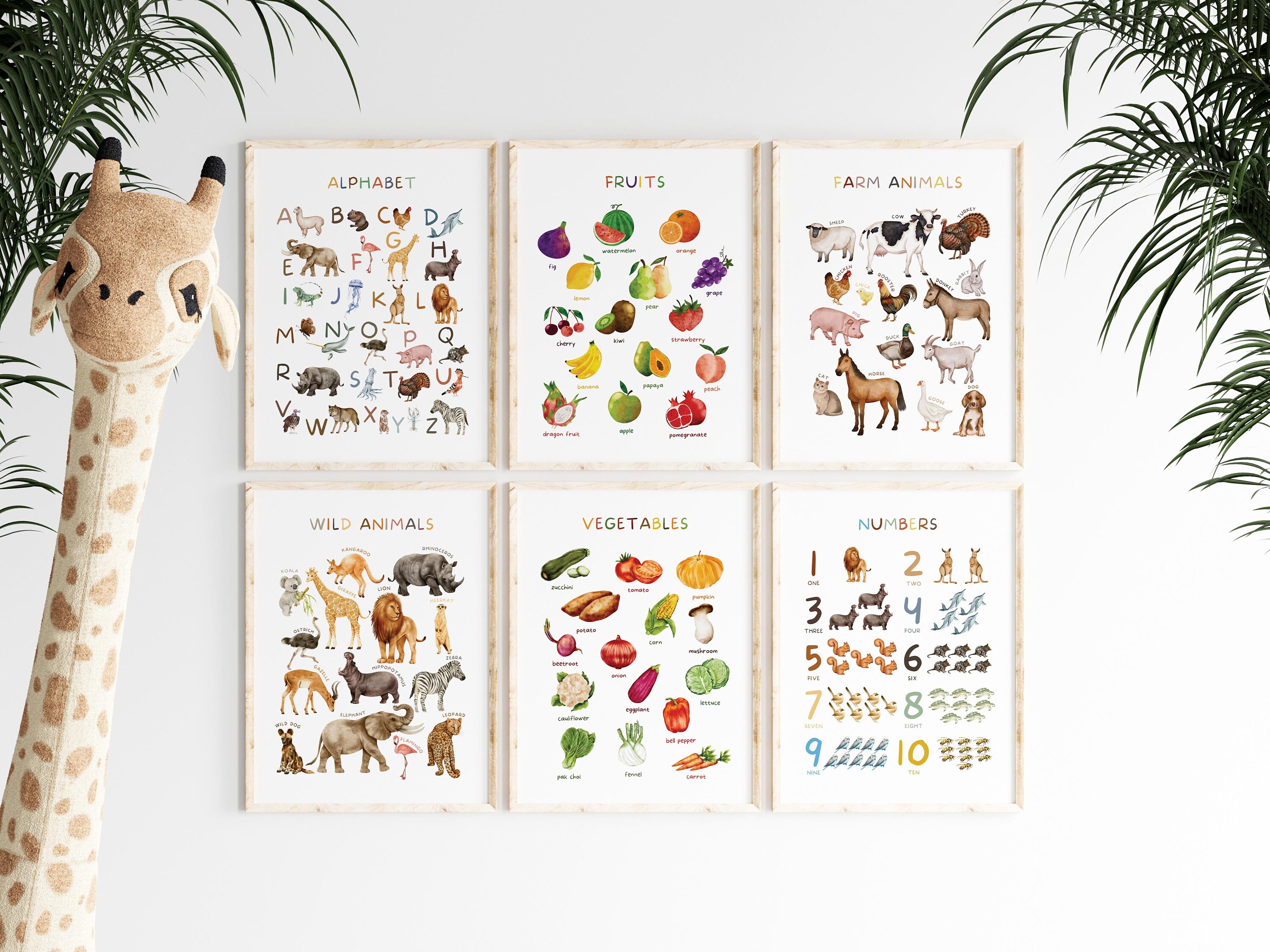 Set of 6 Educational Posters, Fruits Vegetables Posters, Animals ...
