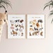Set of 6 Educational Posters, Fruits Vegetables Posters, Animals ...
