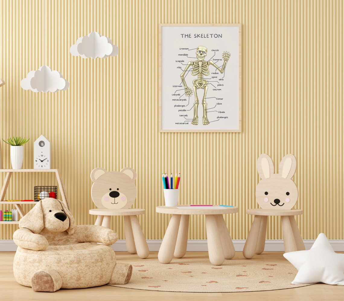 Human Skeleton Poster for Kids, Human Bones Wall Decor, Educational ...