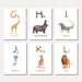 Printable Animal Alphabet Flash Cards, Classroom Decor, 26 Montessori ...