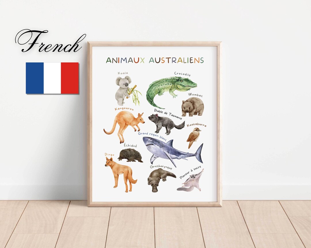 Animals Poster French Edition, Educational Poster, Wall Decor, Playroom ...