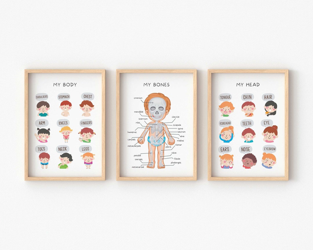 Body Parts Poster, Kids Wall Decor, Educational Print, Body Parts ...
