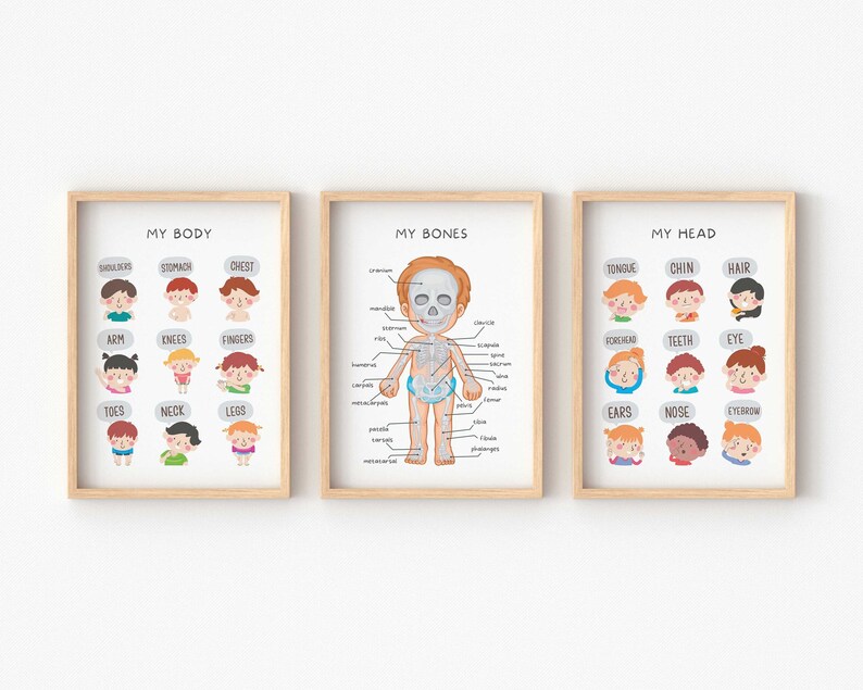 Body Parts Poster, Kids Wall Decor, Educational Print, Body Parts ...