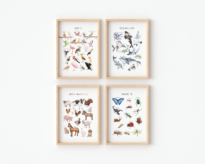 Set of 4 Educational Posters, Farm Animals Poster, Nursery Classroom ...