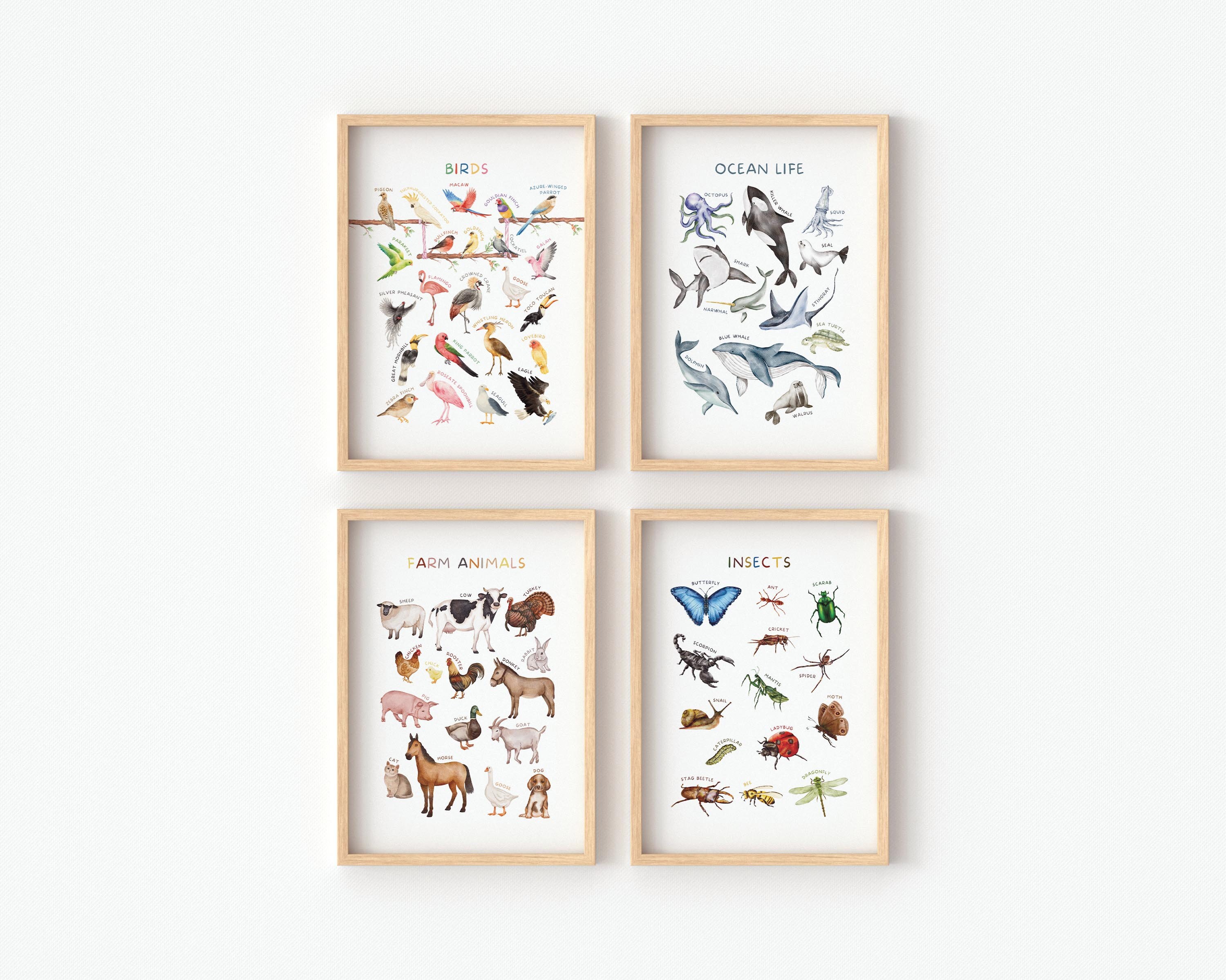 Set of 4 Educational Posters, Farm Animals Poster, Nursery Classroom ...