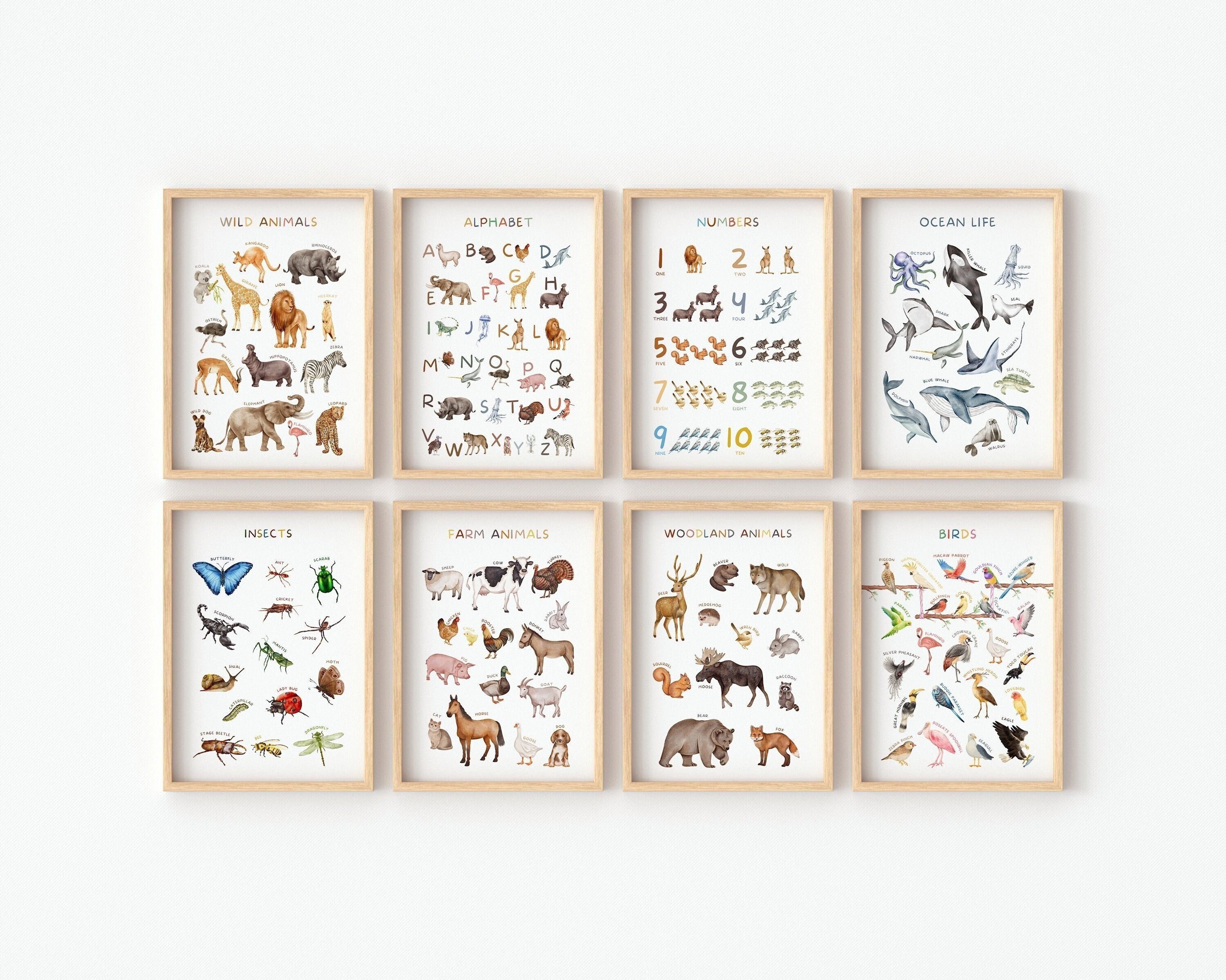 Set of 8 Educational Posters, Alphabet Poster, Classroom Decor, Kids ...