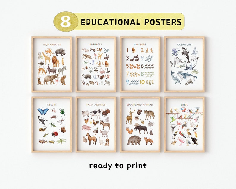 Set of 8 Educational Posters, Alphabet Poster, Classroom Decor, Kids ...