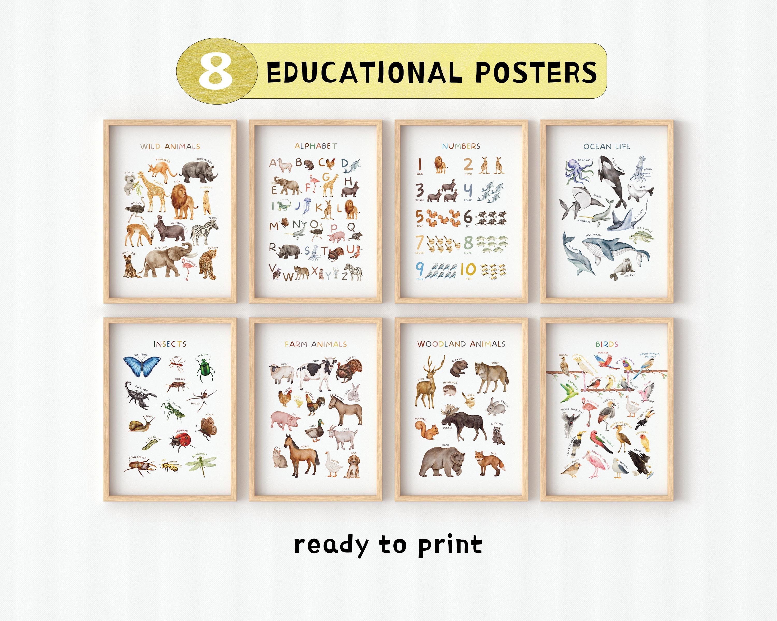 Set of 8 Educational Posters, Alphabet Poster, Classroom Decor, Kids ...