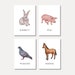 16 Farm Animals Cards, Preschool Learning Materials, Montessori Flash ...