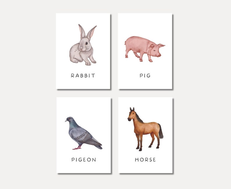 16 Farm Animals Cards, Preschool Learning Materials, Montessori Flash ...