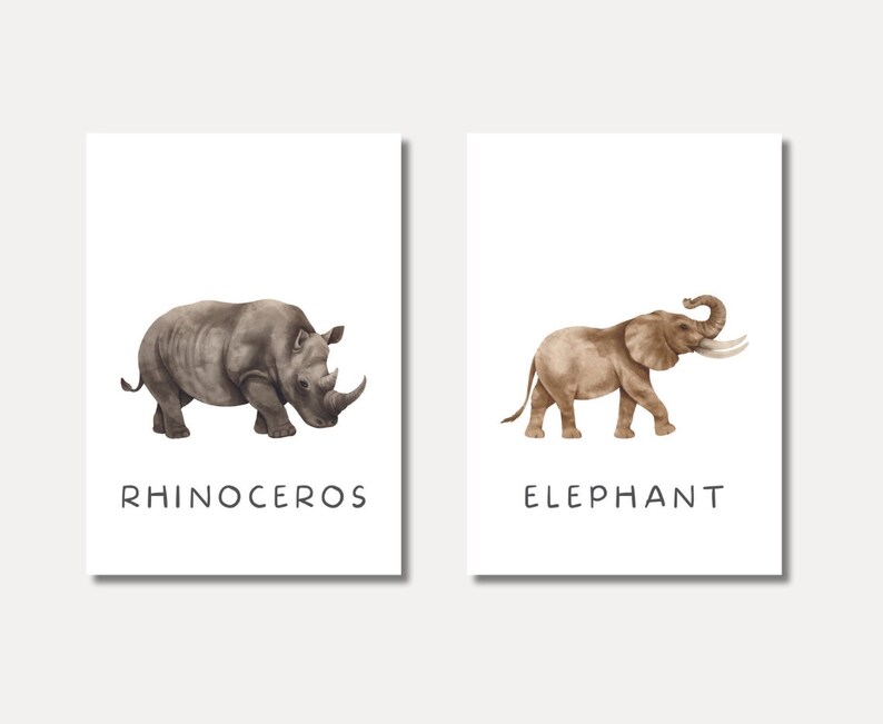 20 Wild Animals Cards, Preschool Learning Materials, Montessori Flash ...
