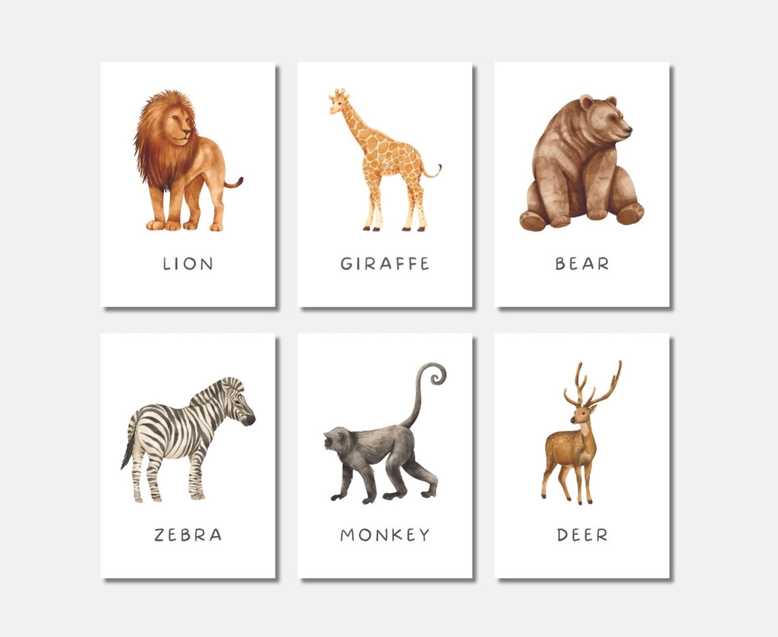 20 Wild Animals Cards, Preschool Learning Materials, Montessori Flash ...