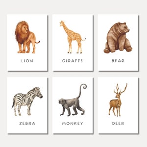 20 Wild Animals Cards, Preschool Learning Materials, Montessori Flash ...