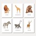 20 Wild Animals Cards, Preschool Learning Materials, Montessori Flash ...