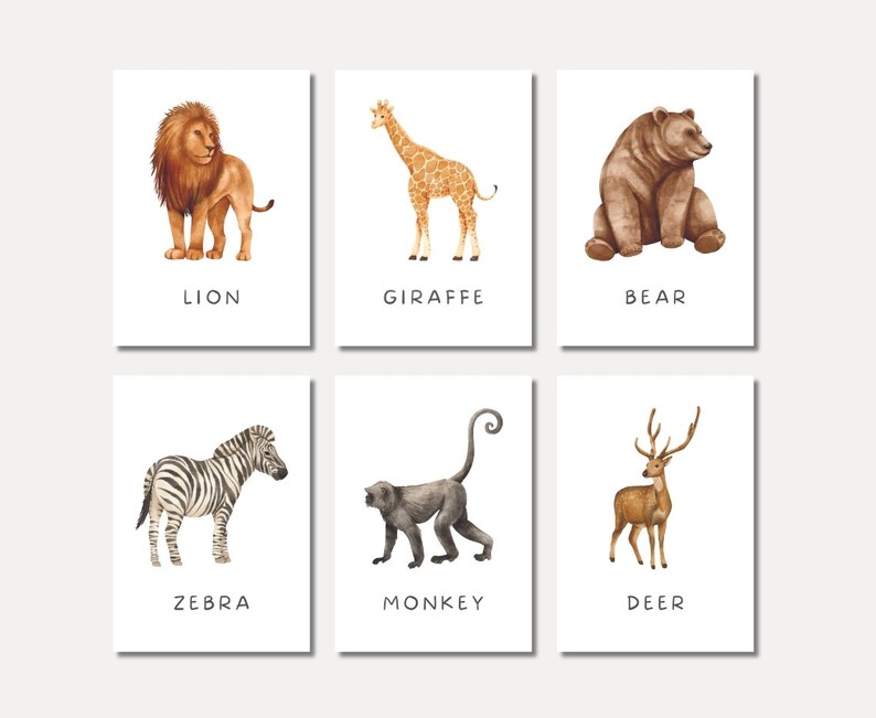 20 Wild Animals Cards, Preschool Learning Materials, Montessori Flash ...