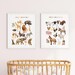Set of 9 Educational Posters, Farm Animals Poster, Nursery Classroom ...
