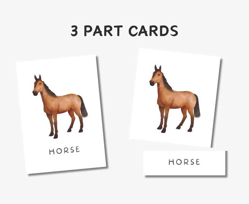 16 Farm Animals Cards, Preschool Learning Materials, Montessori Flash ...