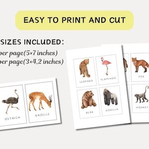 20 Wild Animals Cards, Preschool Learning Materials, Montessori Flash ...