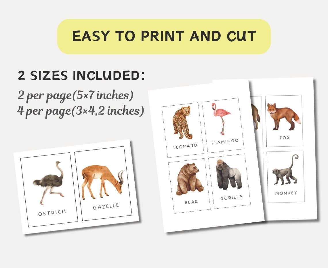 20 Wild Animals Cards, Preschool Learning Materials, Montessori Flash ...