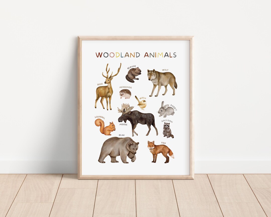 Woodland Animals Poster, Educational Poster, Neutral Playroom Decor ...