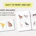 16 Farm Animals Cards, Preschool Learning Materials, Montessori Flash ...