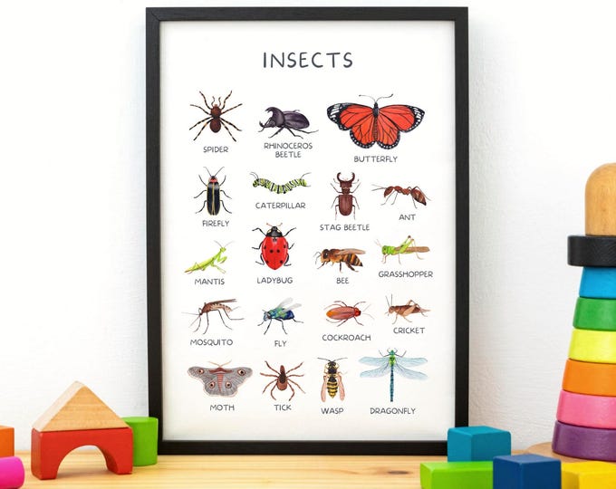 Educational Bugs Poster, Insects Print, Printable Wall Art, Montessori ...